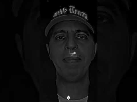 lotfi double kanon