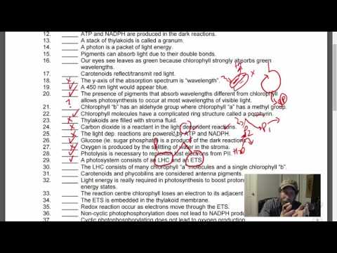 GR 12 Photosynthesis Review for Test (Science Video Tutorial)
