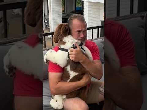 Dad breaks down into tears after family surprises him with new puppy 🥹❤️