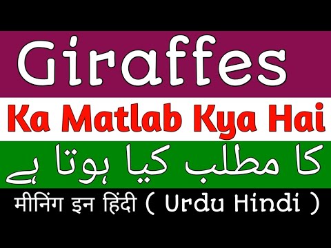 Giraffes Meaning | Giraffes Meaning In Urdu Hindi | Giraffes Ka Matlab Kya Hai | Giraffes Ka Meaning