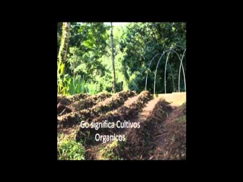 arenal volcano adventure tours at go adventure park costa rica