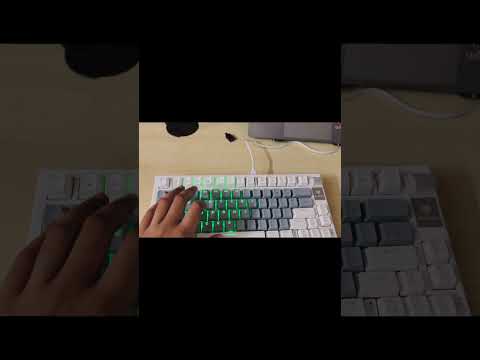 Is Evofox TKL Wireless The BEST Gaming Keyboard For PROS?