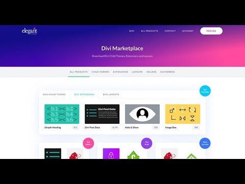 Divi Marketplace for selling Divi Child-Theme, Extentions and Layout Pack