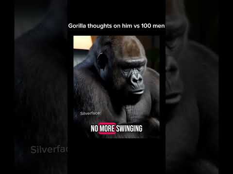 Gorilla vs 100 men podcast π
