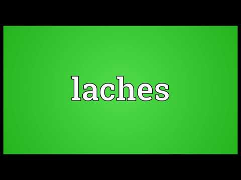 Laches Meaning | Wordogram