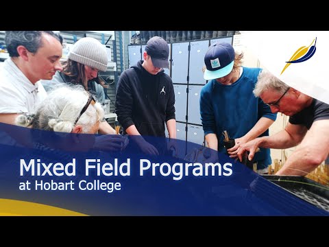 Mixed Field Programs – Hobart College