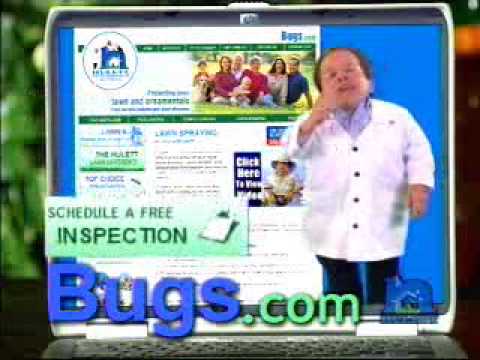 Pest Control in Florida - Hulett Lawn Care