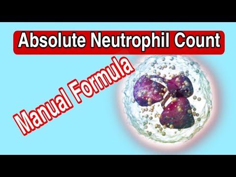 Absolute Neutrophil Count Formula|CBC test|Stream Laboratory |