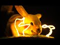 Here's What Pikachu Would Look Like as a Real Animal - Nerdist