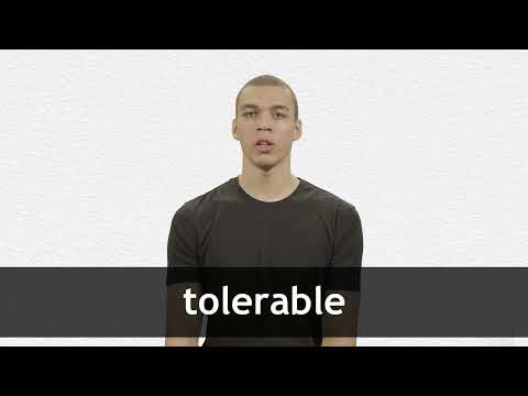 TOLERABLE 정의 및 의미 | Collins 영어 사전