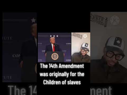 The 14th Amendment was originally for the Children of Slaves !