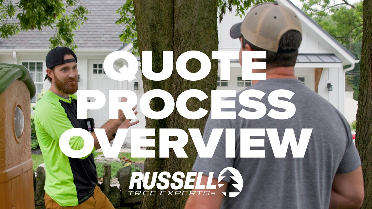Quote Process Overview I Russell Tree Experts