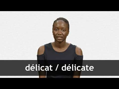 English Translation of “DÉLICAT” | Collins French-English Dictionary