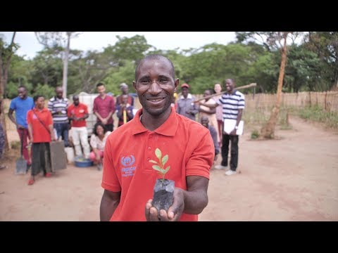 Stories of Zambia: Alex and lead farmers