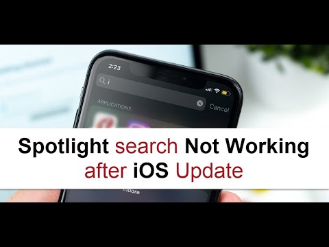 Spotlight Search Not Working on After iOS Update(Fixed)
