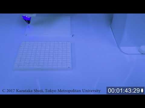 Robot arm demo for tagging ants – Kazutaka Shoji home page 庄司一貴のホームページ