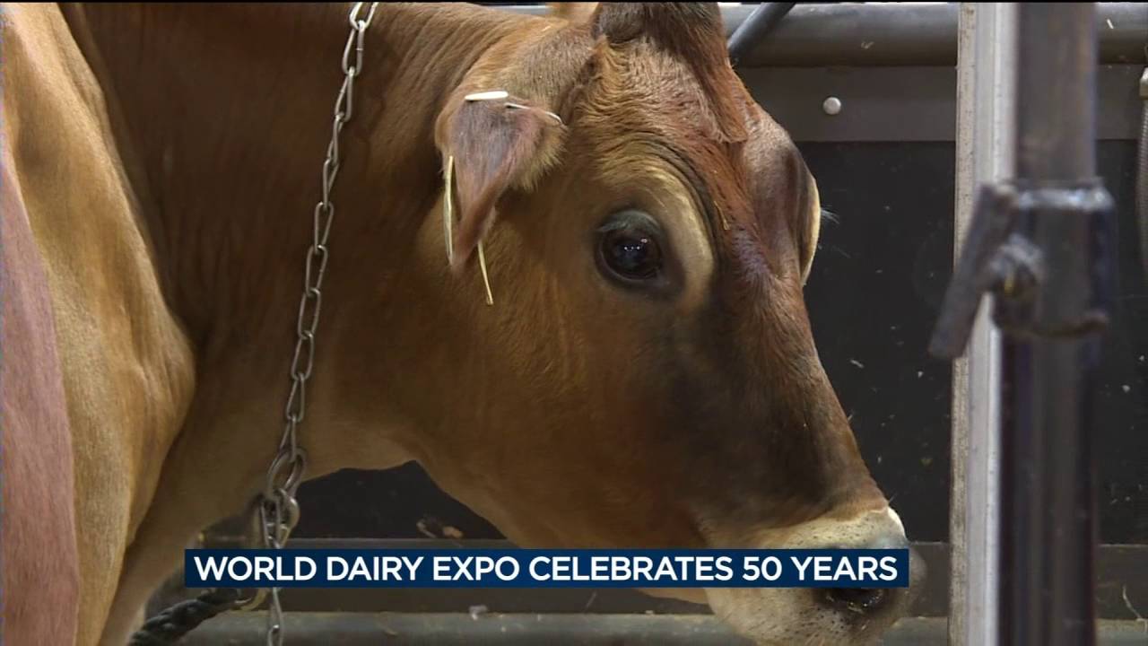 Farm Director Pam Jahnke at opening day of the World Dairy Expo