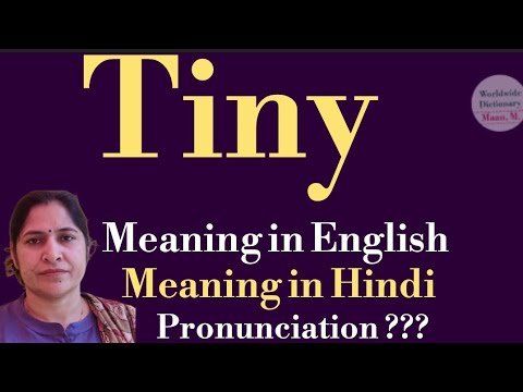 tiny meaning l meaning of tiny l tiny ka hindi mein kya matlab hota hai l vocabulary