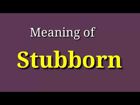 Stubborn meaning in Hindi