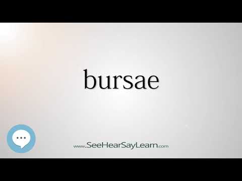 bursae
