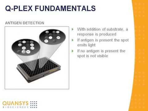 An Introduction to Q Plex Technology