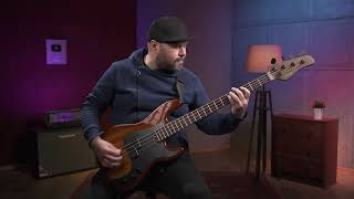 Schecter P-4 Exotic Bass Guitar - What To Know & Where To Buy | Equipboard