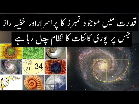Fibonacci Series in Nature Explained| Urdu / Hindi