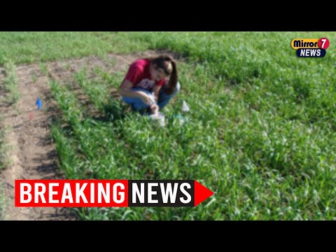 USDA Study Finds Continuous Cropping Reduces Greenhouse Gas Emissions