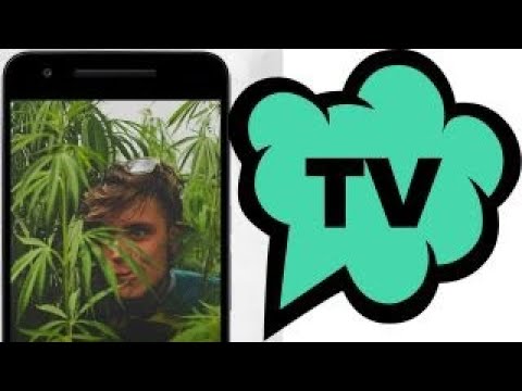 How TokeTV is banking on legalizing marijuana