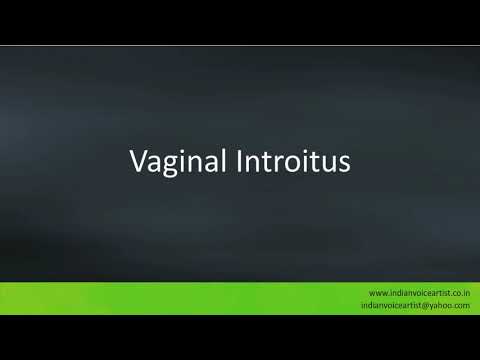 Pronunciation of the word(s) "Vaginal Introitus".