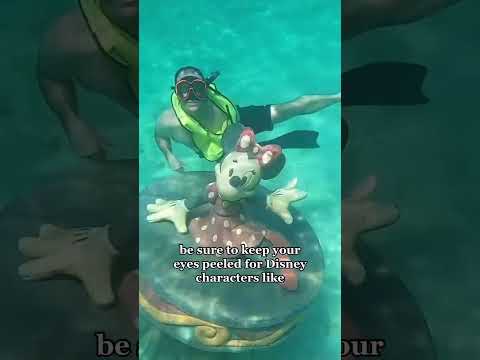 đź‘€ HIDDEN Wonders of Disney Cruise Line's Castaway Cay Island. #shorts