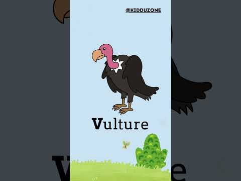 Words that start with Letter V