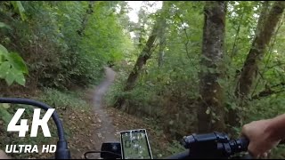 3 Best Hiking Trails in Kent, WA - Expert Recommendations