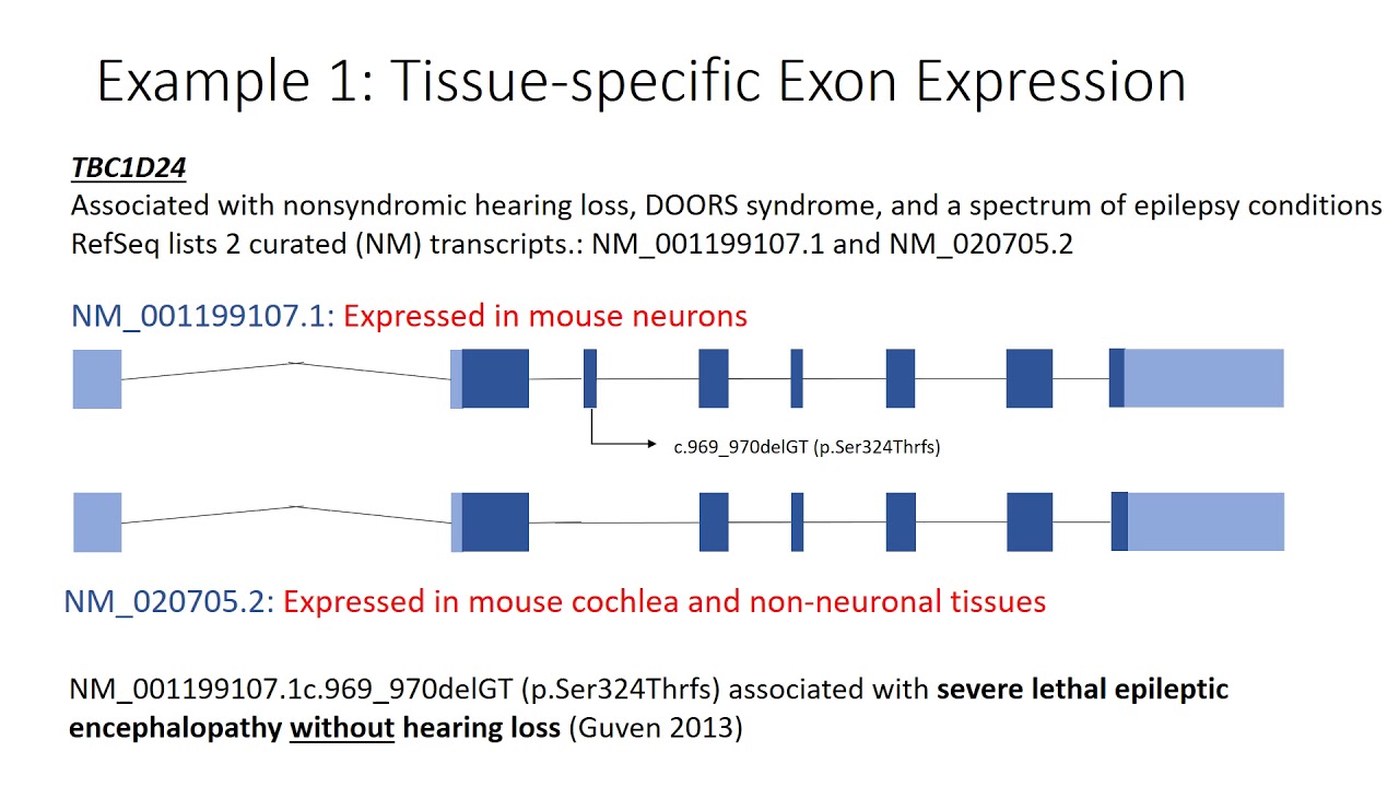 Transcript Overview Part 1: Transcript Annotation