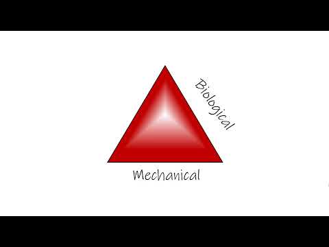 Introduction to Biomechanics