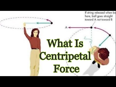 Examples Of Centripetal Force | Centripetal Force #viralvideo