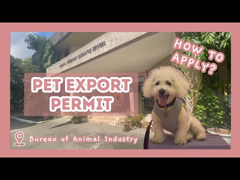 Applying For A Pet Export Permit From BAI (Philippines To Ireland)