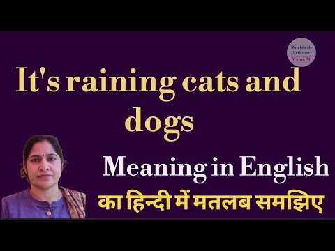 it's raining cats and dogs meaning l meaning of it's raining cats and dogs l vocabulary