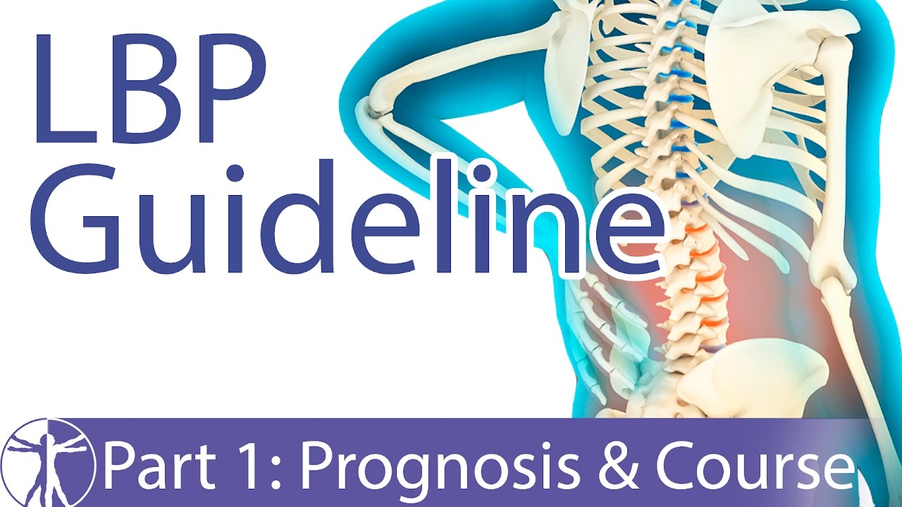 Low Back Pain Guideline: Prognosis & Course (Part 1)
