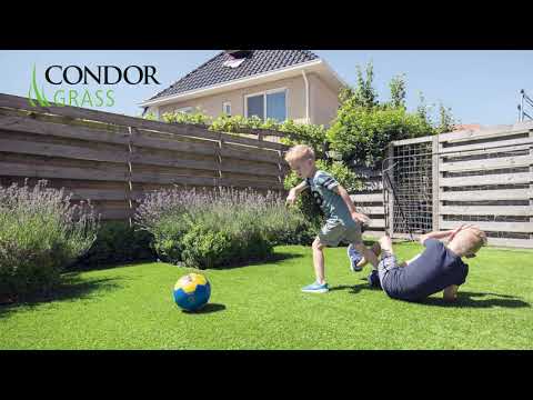 Condor Group