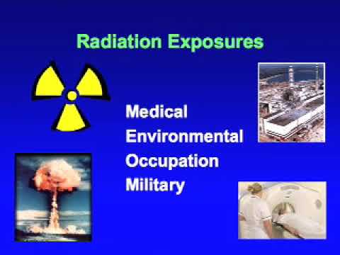 Dr. Elaine Ron (National Cancer Institute) - The Carcinogenic Effects of Radiation