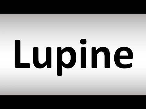 How to Pronounce Lupine