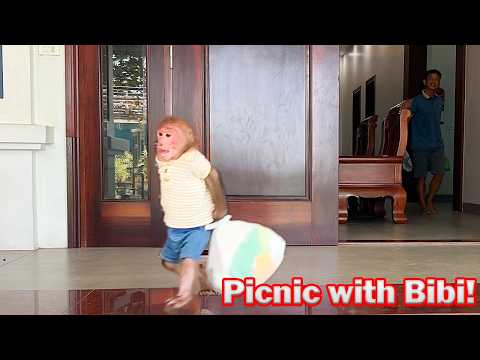 Bibi knows that Uncle Phong is spoiled so he asked to go camping!