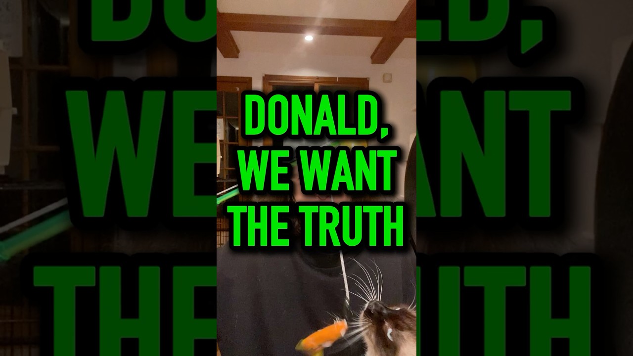 Donald, We Want the Truth | Paula Poundstone on Trump & Voting