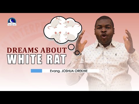 Dream About White Rats Meaning - Evangelist Joshua Orekhie