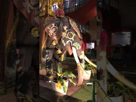 π Elephant statue at MG road metro station π₯π₯#bangalore #bengaluru #mgroad