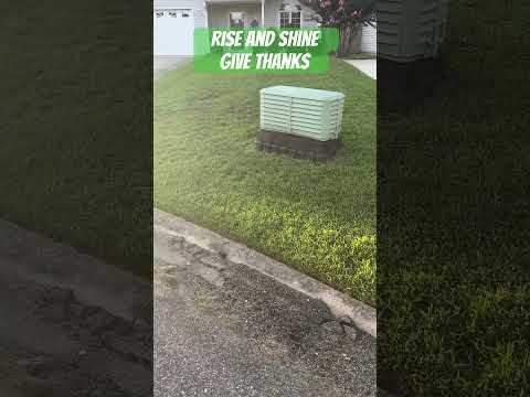 RAIN BE GONE #cooler #lawnlife #echo #blessed #favorite #golden