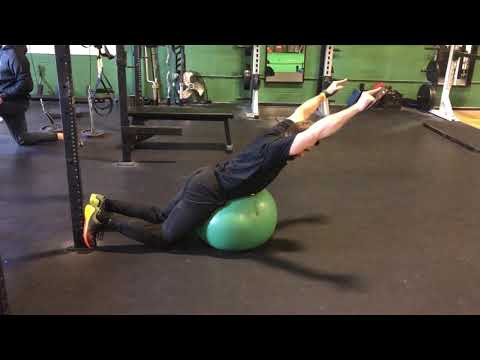 Physio Ball Weighted Snow Angel