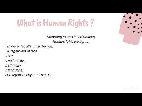 The Universal Declaration of Human Rights (Articles, important and Crimes against Humanity)