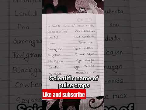 scientific name of pulse crops/botanical name of pulse crop. #shorts